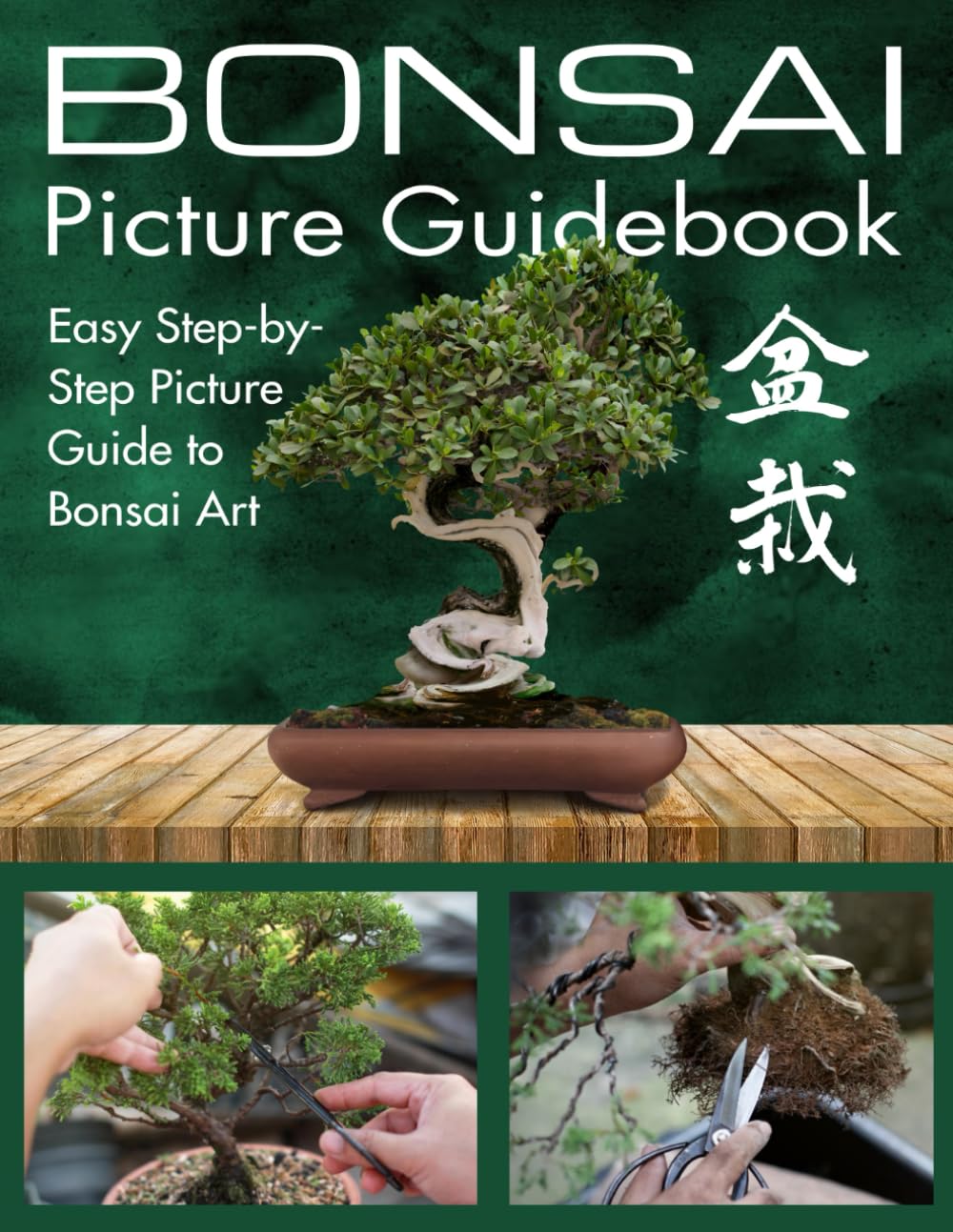 Bonsai Picture Guidebook: Bonsai Trees Book for Beginners with Easy ...