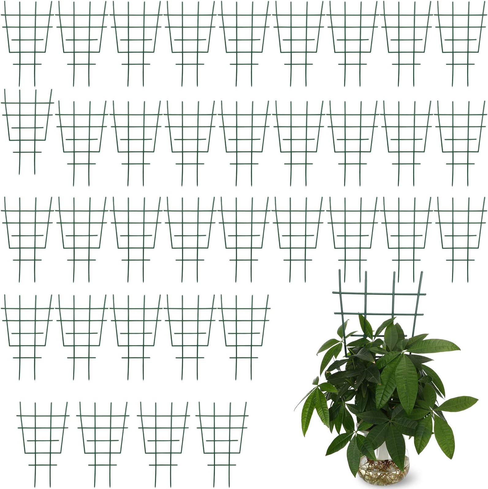 Amazon.com : 36 Pcs Trellis for Potted Plants 12 Inch Mini Garden ...