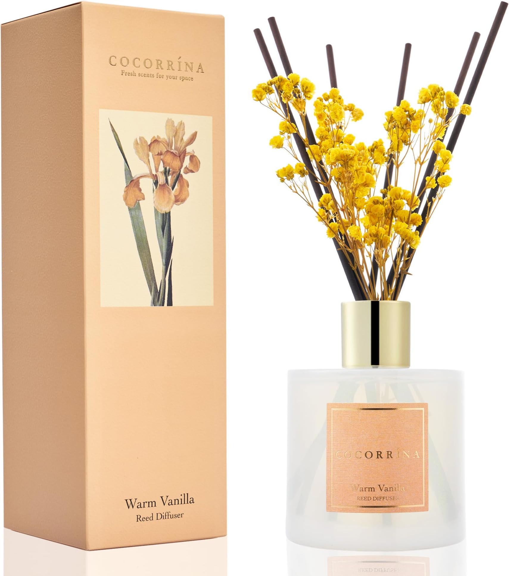 Amazon.com: Reed Diffuser Set Vanilla 3.4 Fl Oz (100ml) - 2 x 50ml ...
