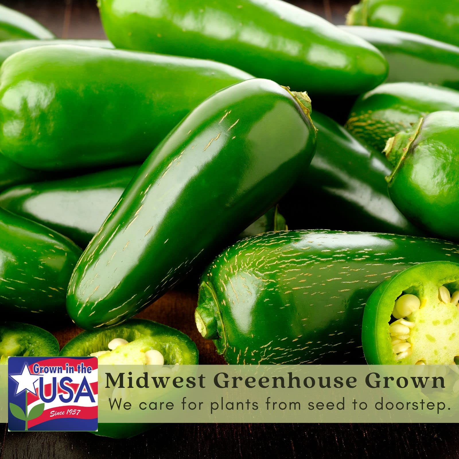 Jalapeno Plant Size