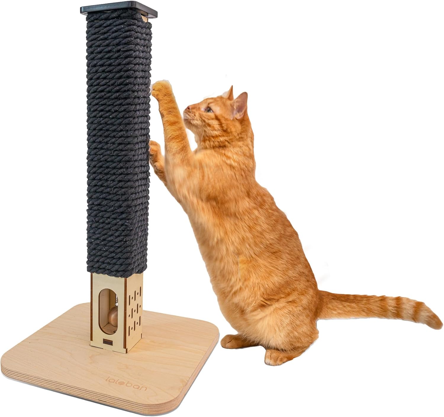 Amazon.com : Laloban Premium Cat Scratching Post - 24 Inch Tall Tower ...