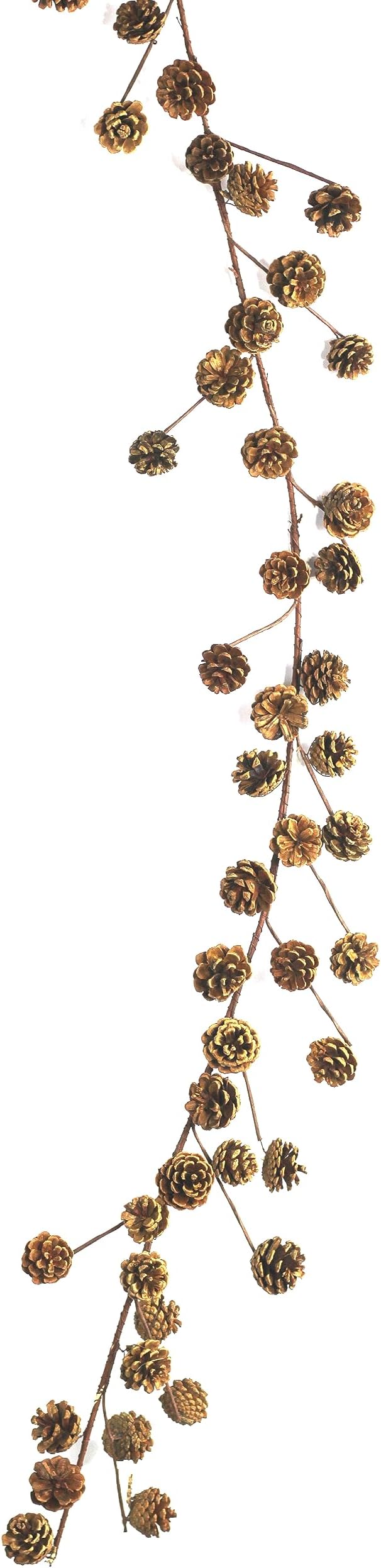 Amazon.com: 25 Foot Roll of Natural Dried Grapevine Garland : Home ...