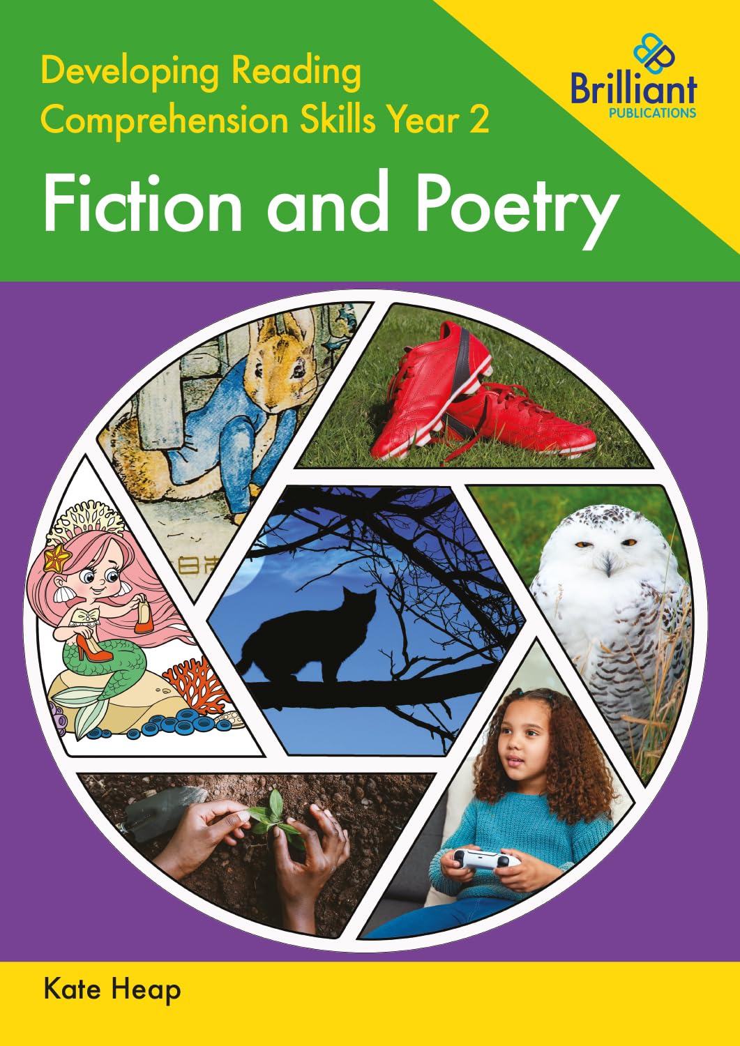 Developing Reading Comprehension Skills Year 2: Fiction and Poetry ...