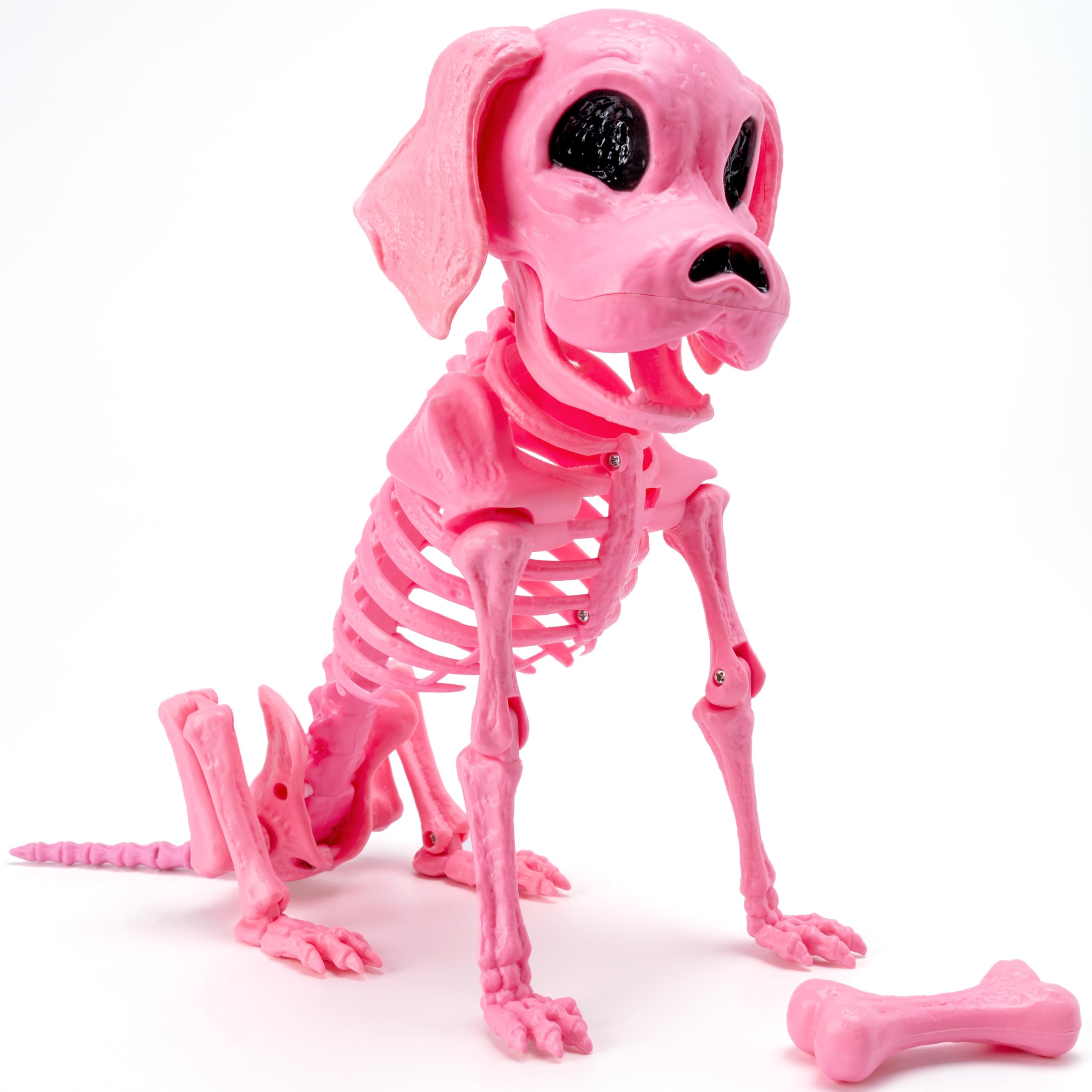 Amazon.com: JOYIN Posable Halloween Dog Skeleton Full Body Posable ...