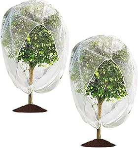Amazon.com : 2 Pack Large Fruit Tree Netting Bags, 10 x 10 FT Garden Mesh Netting Protection ...