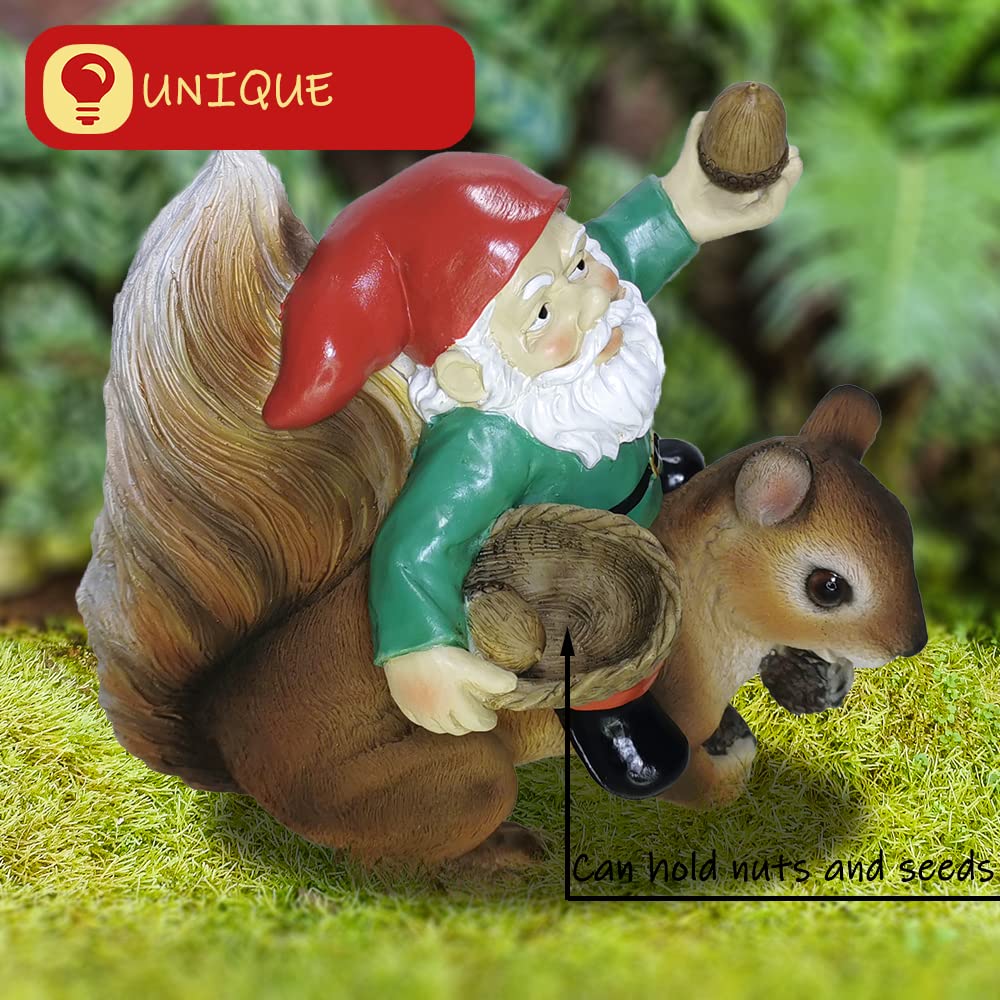 Gnome Riding Squirrel