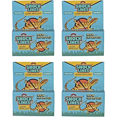 Khatnil Advanced Formula (250ml), Pack of 1 : Amazon.in: Garden & Outdoors