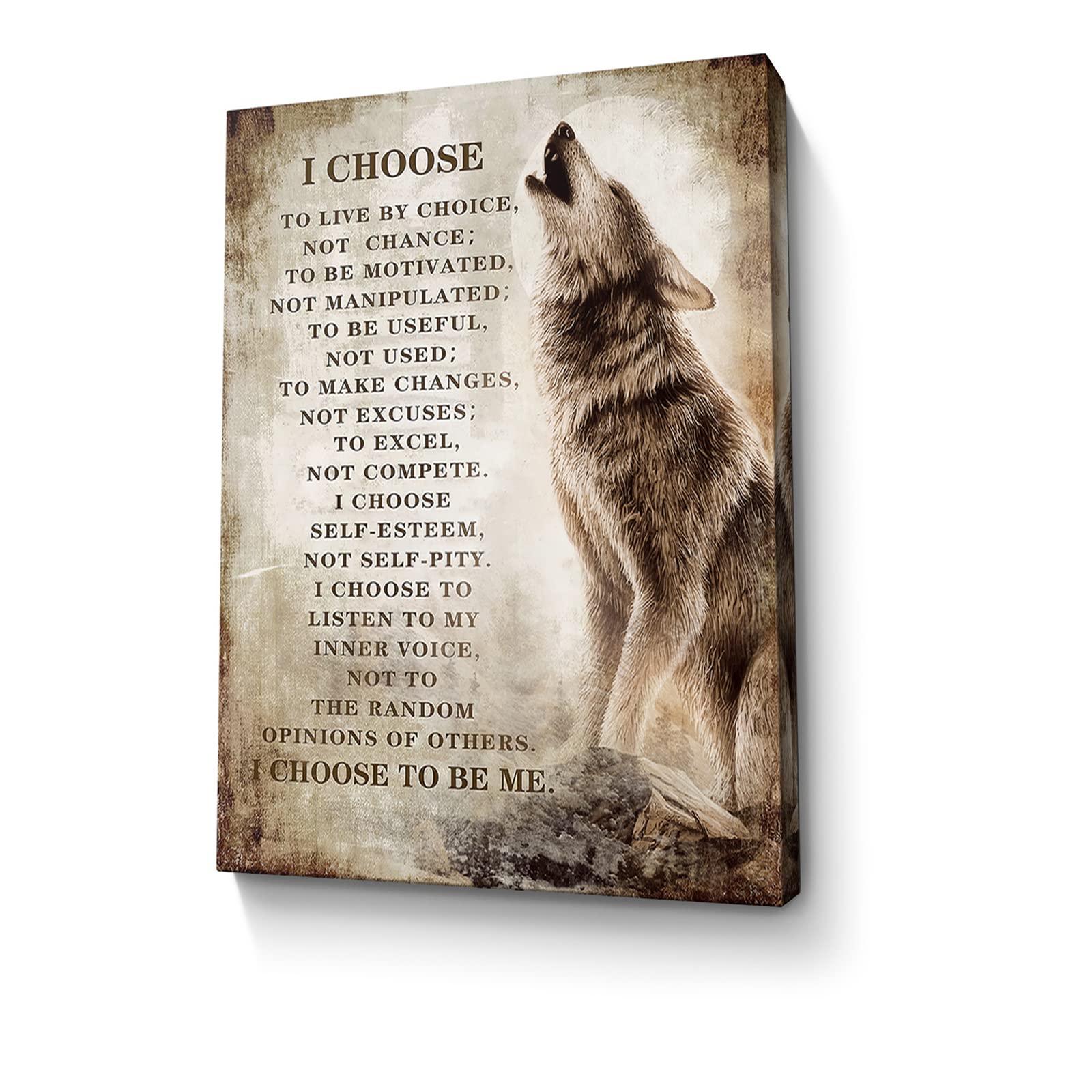 Amazing Wolf Photography