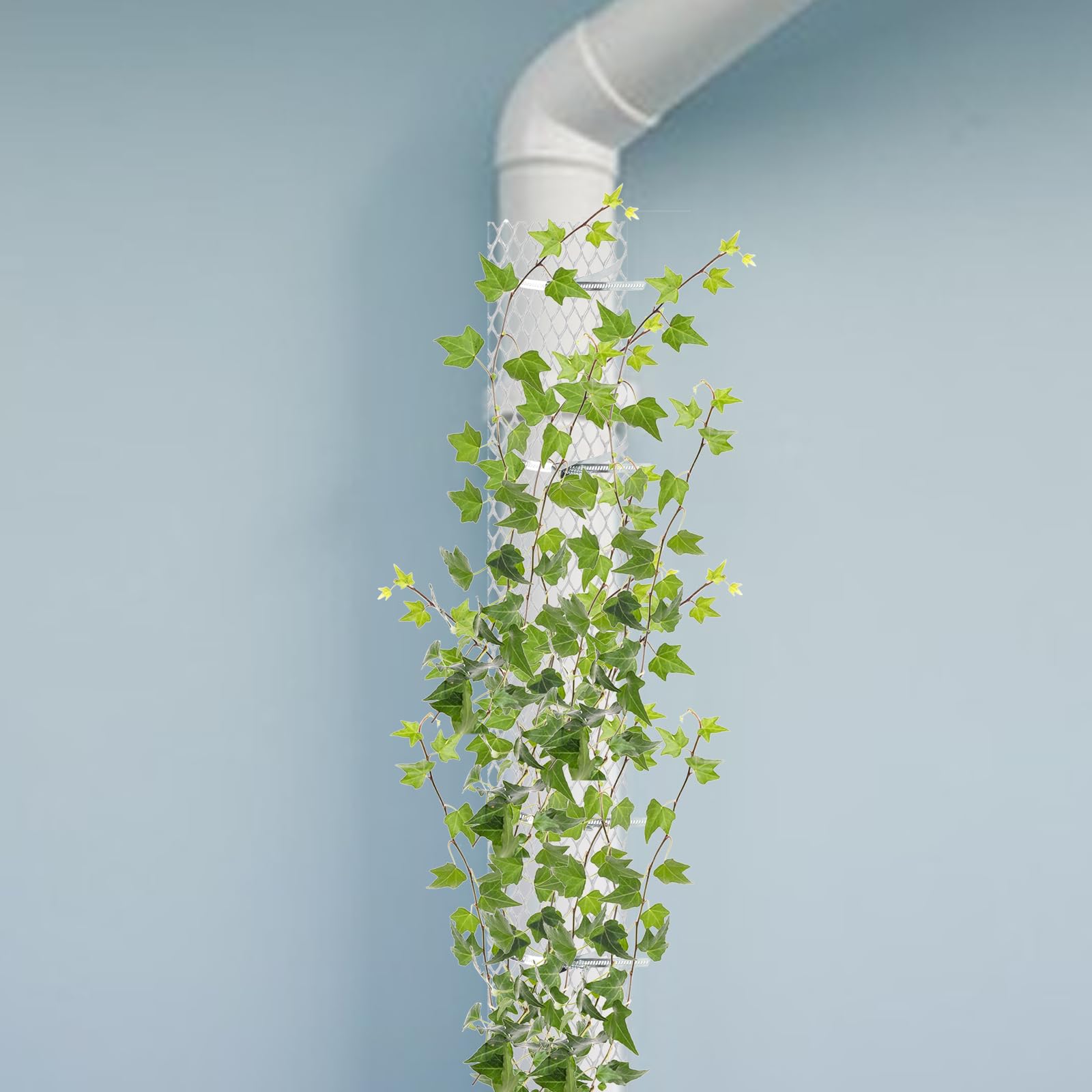 Trellis Rain Gutter Gardening Plant Garden Trellis Downspout Trellis