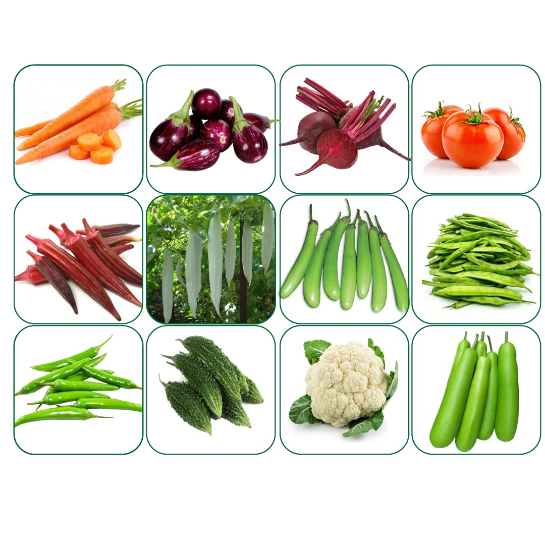 Indian Vegetables With Names