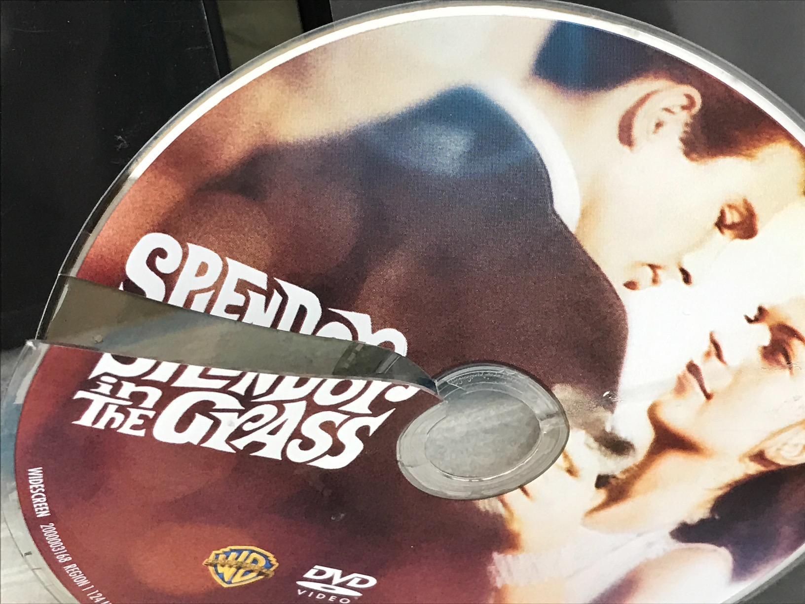 Amazon.com: Splendor In The Grass : Natalie Wood, Warren Beatty, Pat ...