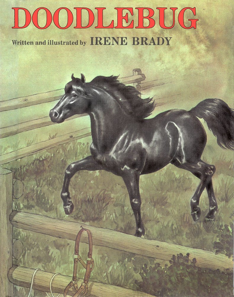 Doodlebug: Brady, Irene: 9780395257821: Amazon.com: Books