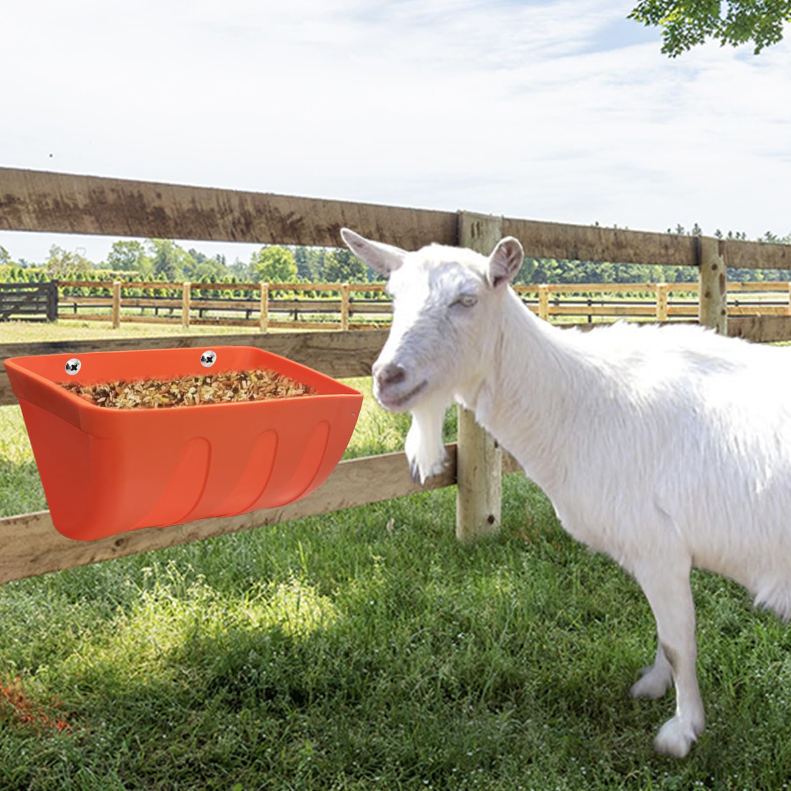Snapklik.com : Hanging Chicken Feeder Trough, 4 Pack Fence Feed Feeder ...