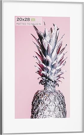 Amazon.com - Homeforia 20x28 Picture Frames Silver, Premium Metal ...