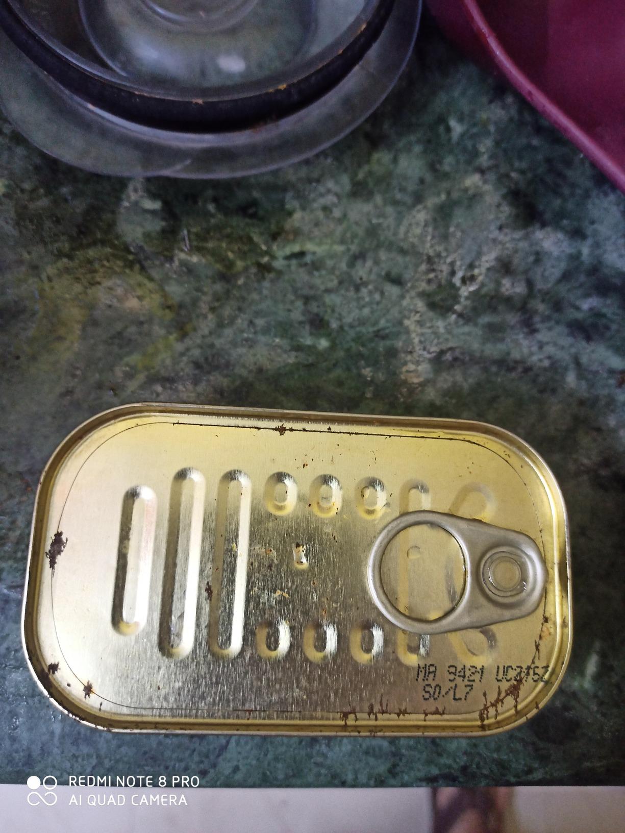 Calvo Canned Sardines in Olive Oil, 120G : Amazon.in: Grocery & Gourmet ...