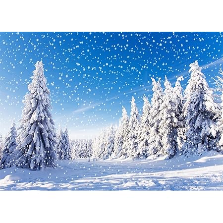 Amazon.com : BELECO 7x5ft Fabric Winter Landscape Backdrop Snowfall ...