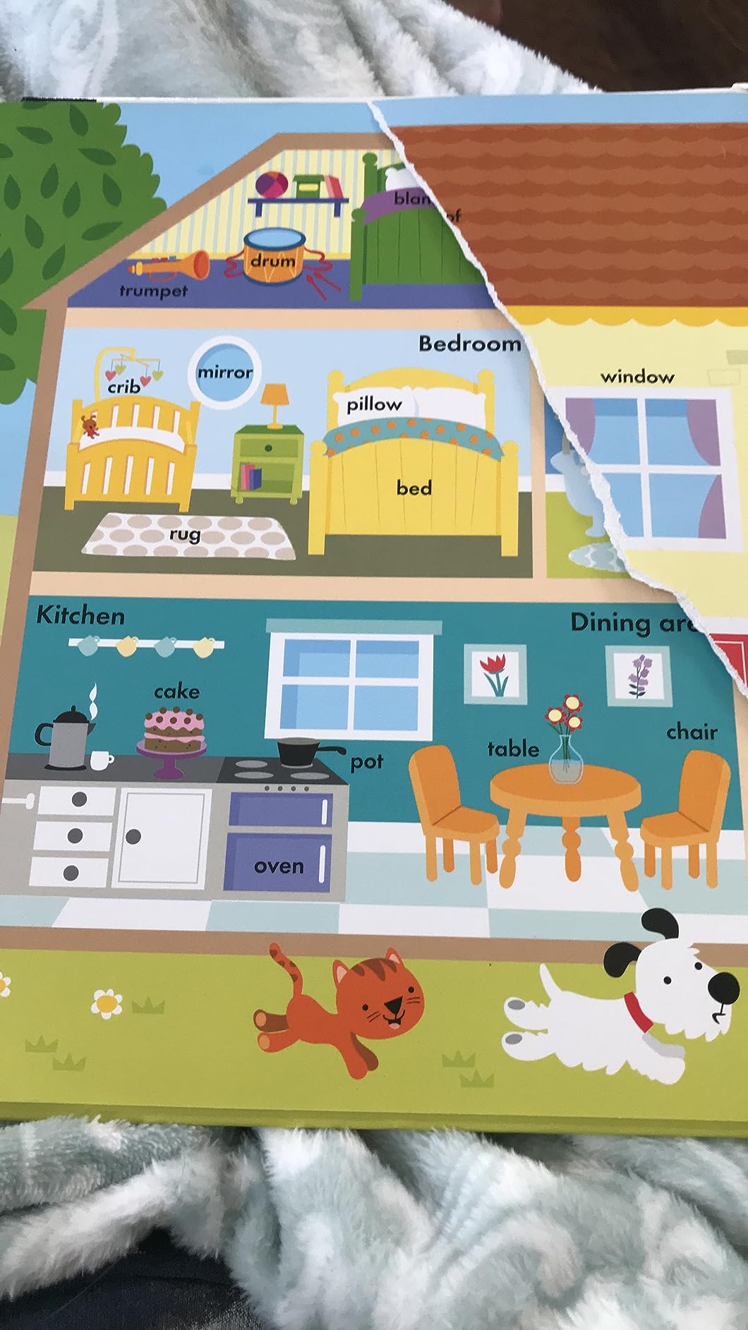 Amazon.com: Finding First Words and More! (My Little World ...