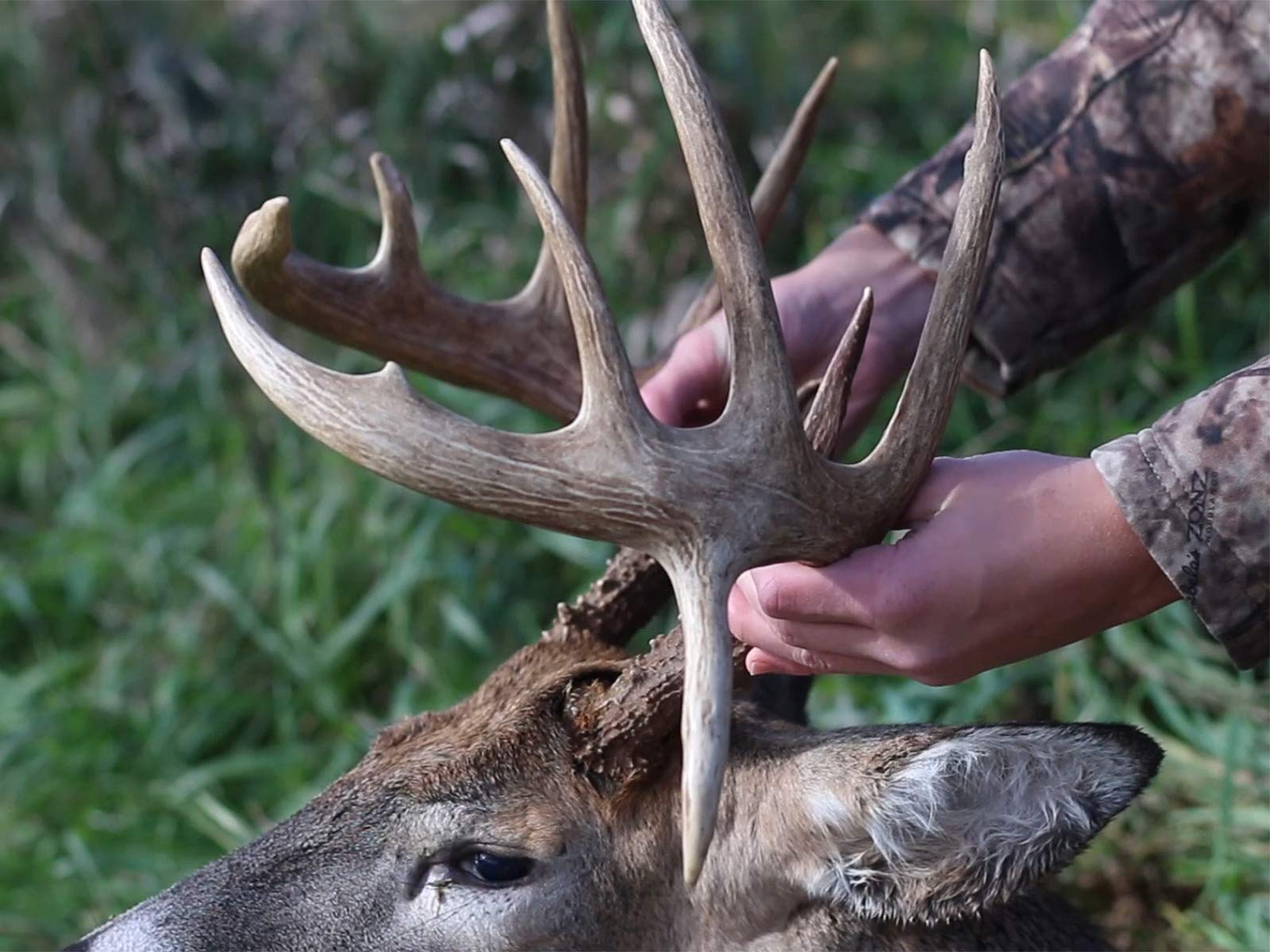 Watch The Hunting Public | Prime Video