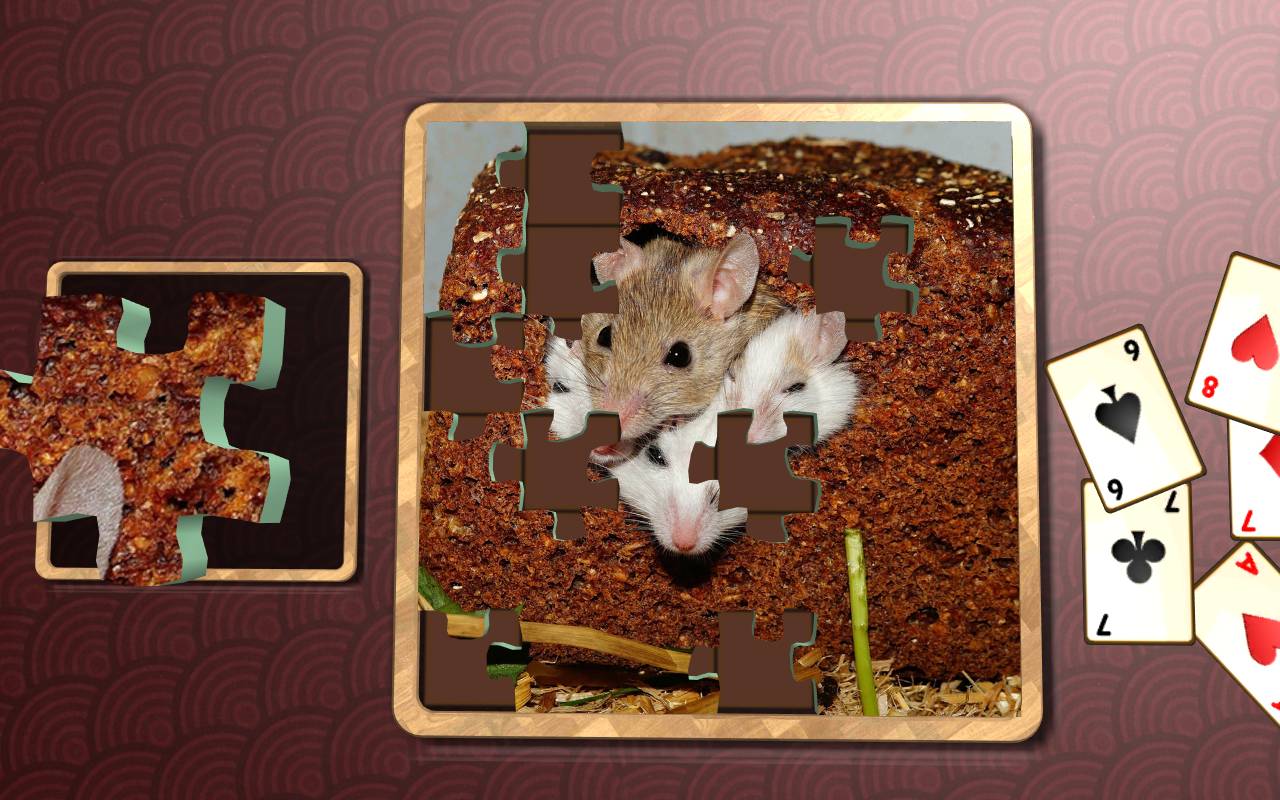 Jigsaw Solitaire - Pets FireTV - App on Amazon Appstore