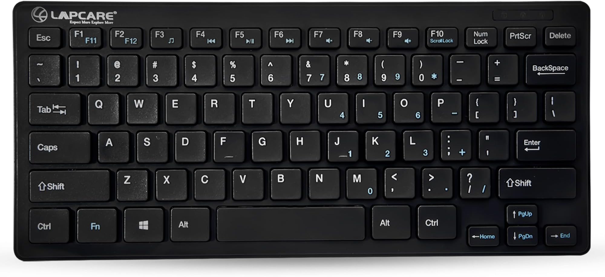 Amazon.in: Buy Lapcare D Lite Plus Wired Mini Keyboard with Chocolate ...