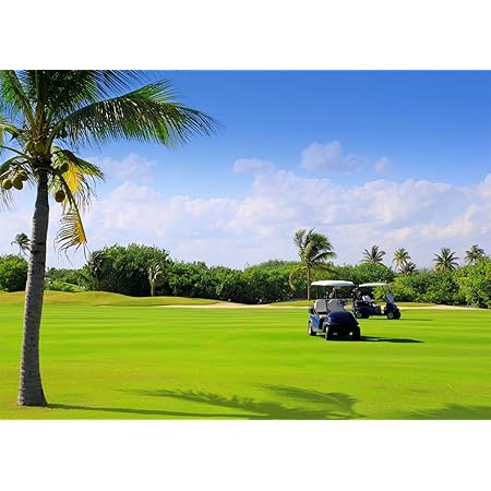 Amazon.com : BELECO 7x5ft Fabric Golf Backdrop for Photography Green ...