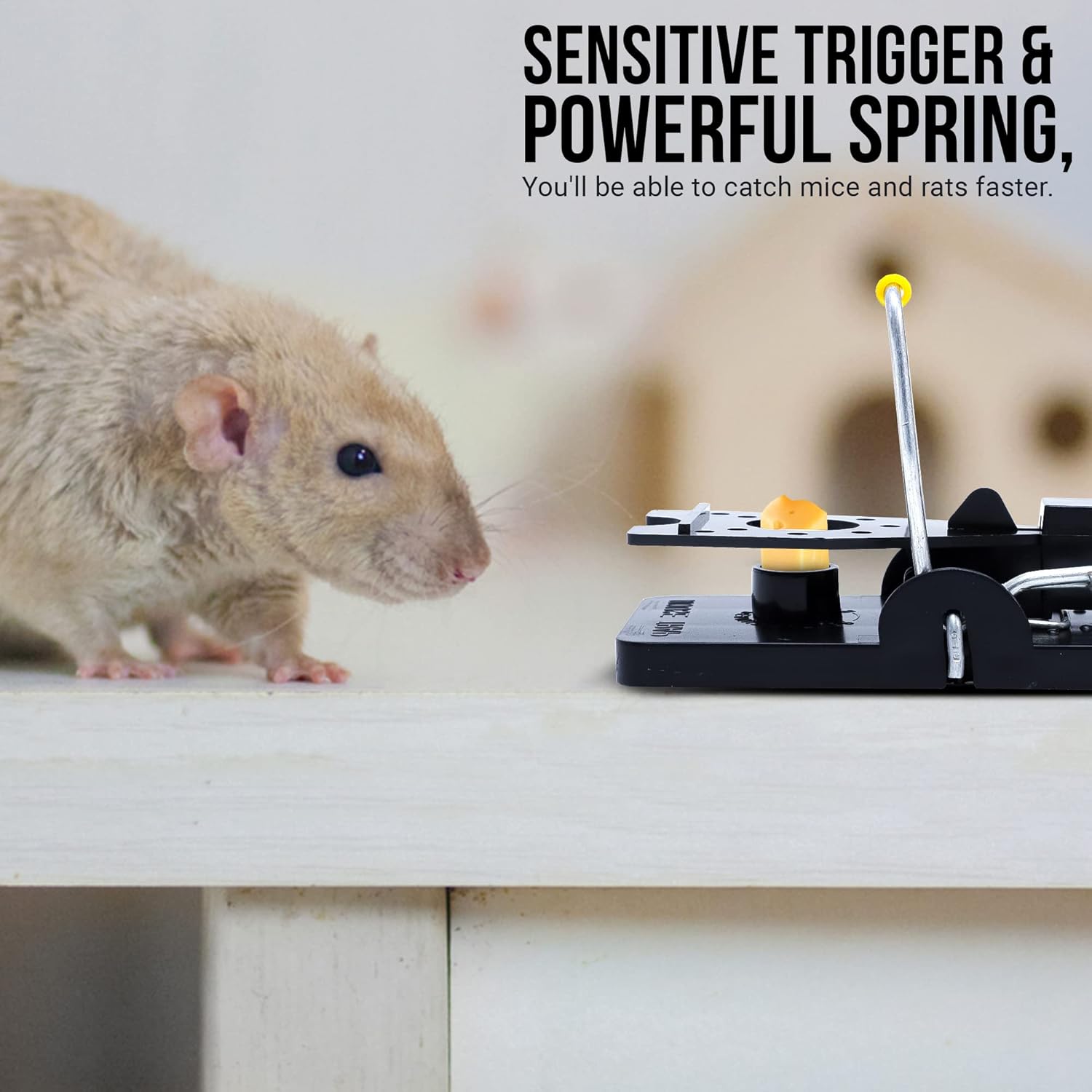 NZBUY Trampa para ratones, trampas para ratones en interiores para el ...