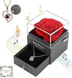 Amazon.com: Generic Preserve Rose Music Box, Flower Gift for mom ...
