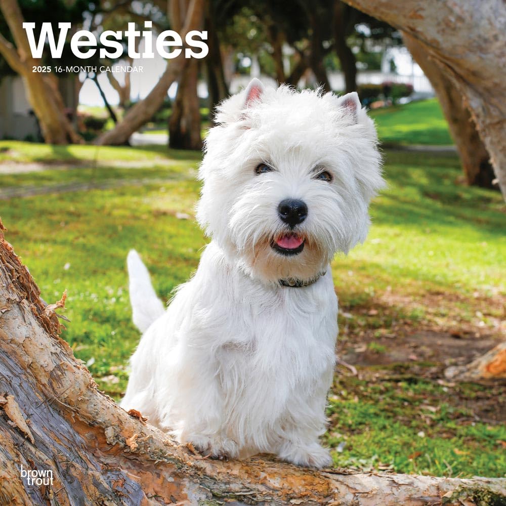Snapklik.com : West Highland White Terriers 2025 12 X 24 Inch Monthly ...