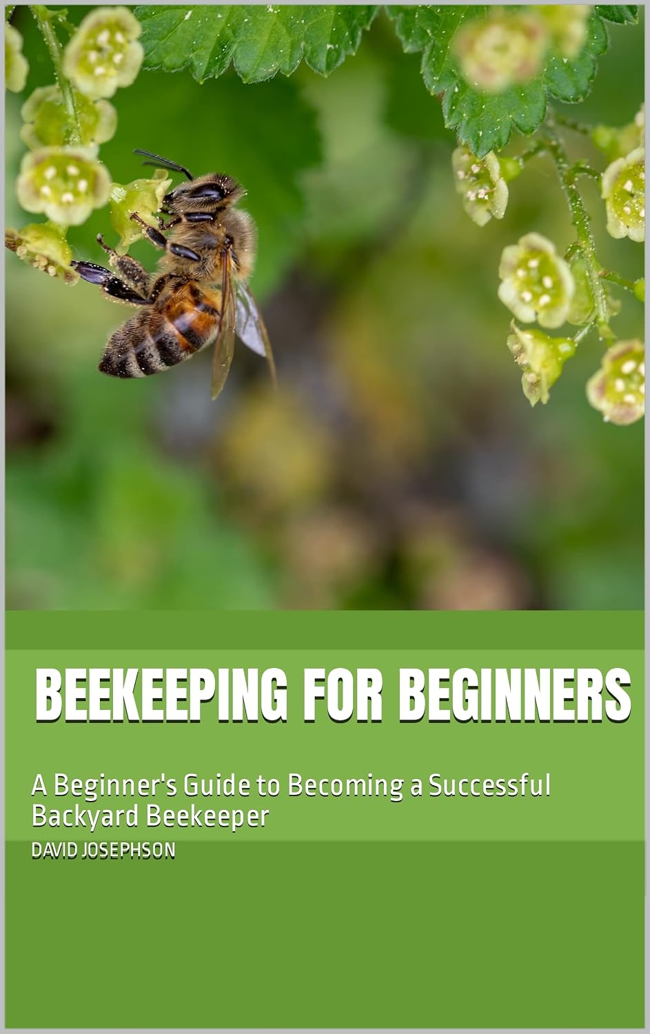 Amazon.com: Beekeeping for Beginners: A Beginner's Guide to Becoming a ...