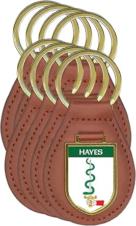 Historic Families Hayes Family Shield Crest Coat of Arms Key Ring at ...