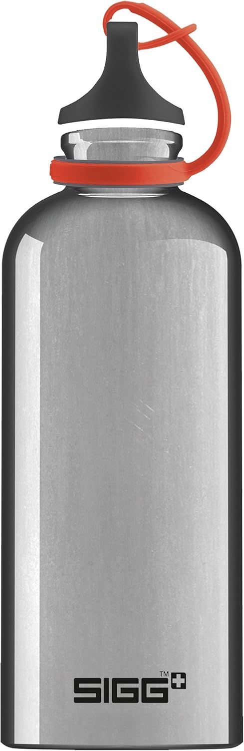 Amazon.com: Sigg "Classic Accent" Drinking Bottle, Silver, 20 oz ...
