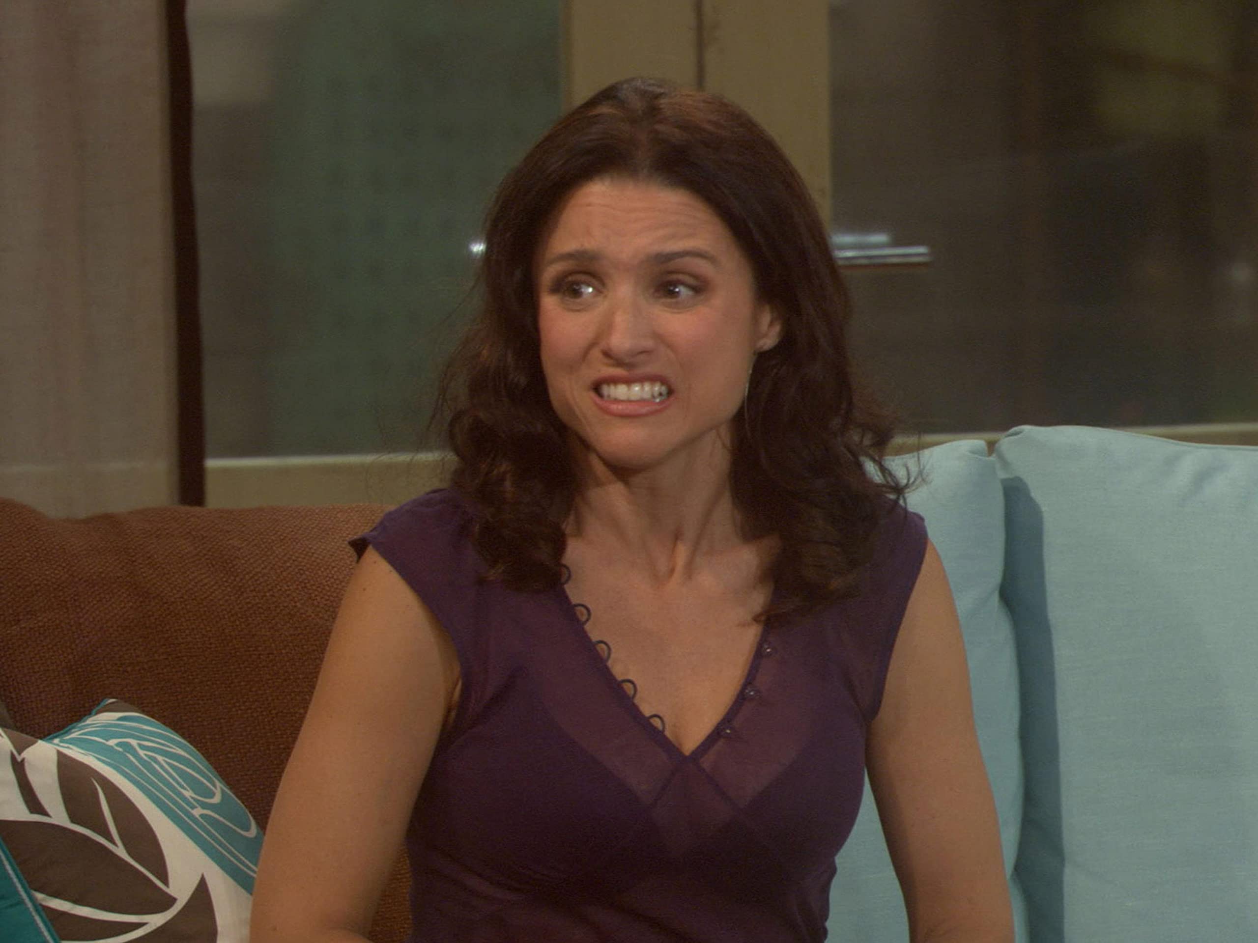 Watch The New Adventures of Old Christine - Season 1 | Prime Video