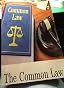 The Common Law: Holmes, Oliver Wendell: 9781619492844: Amazon.com: Books