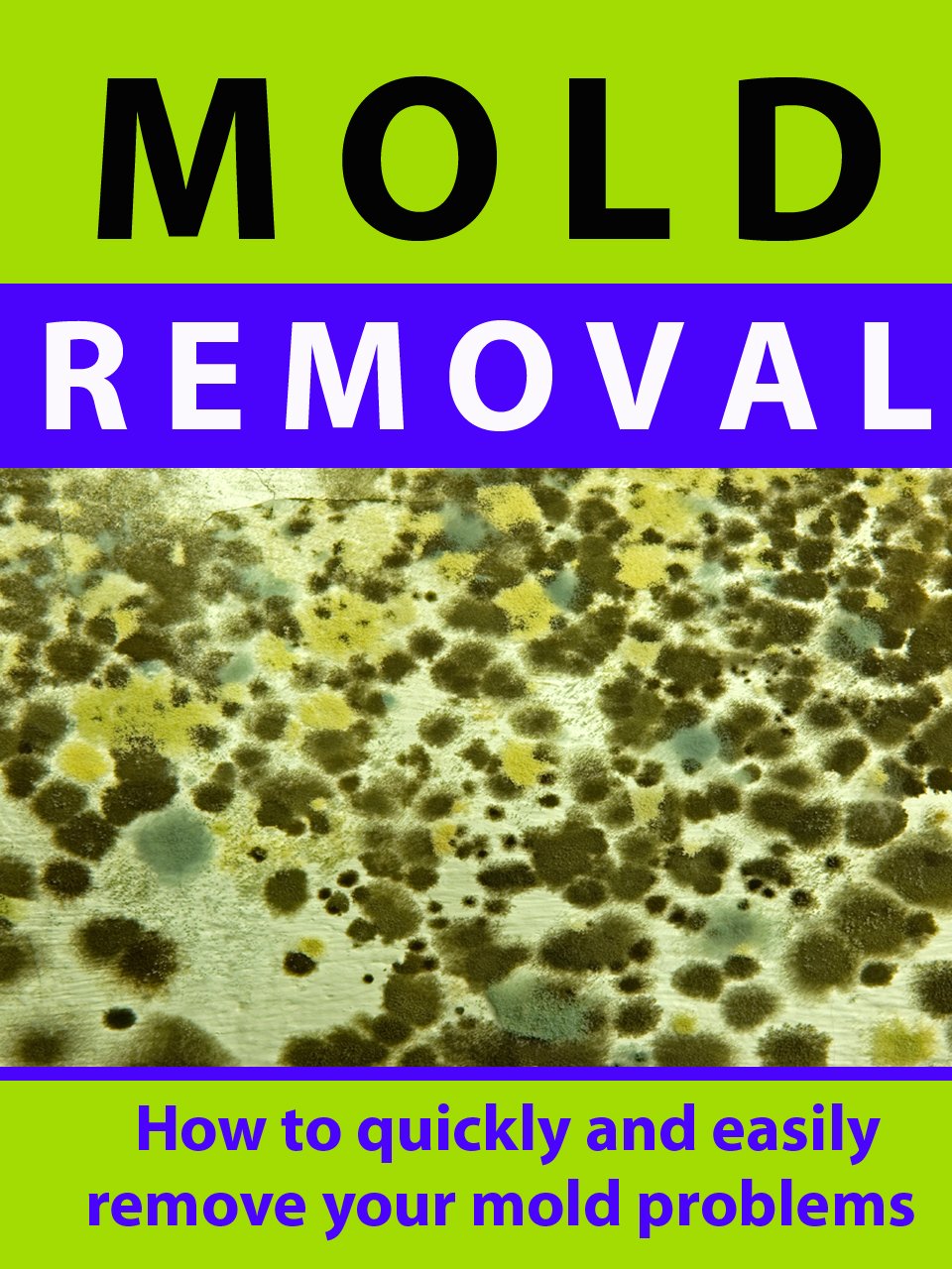 Mold Removal - How to Quickly and Easily Remove Your Mold Problems ...