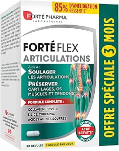 Forté Pharma - FortéFlex Articulations - Complement Alimentaire ...