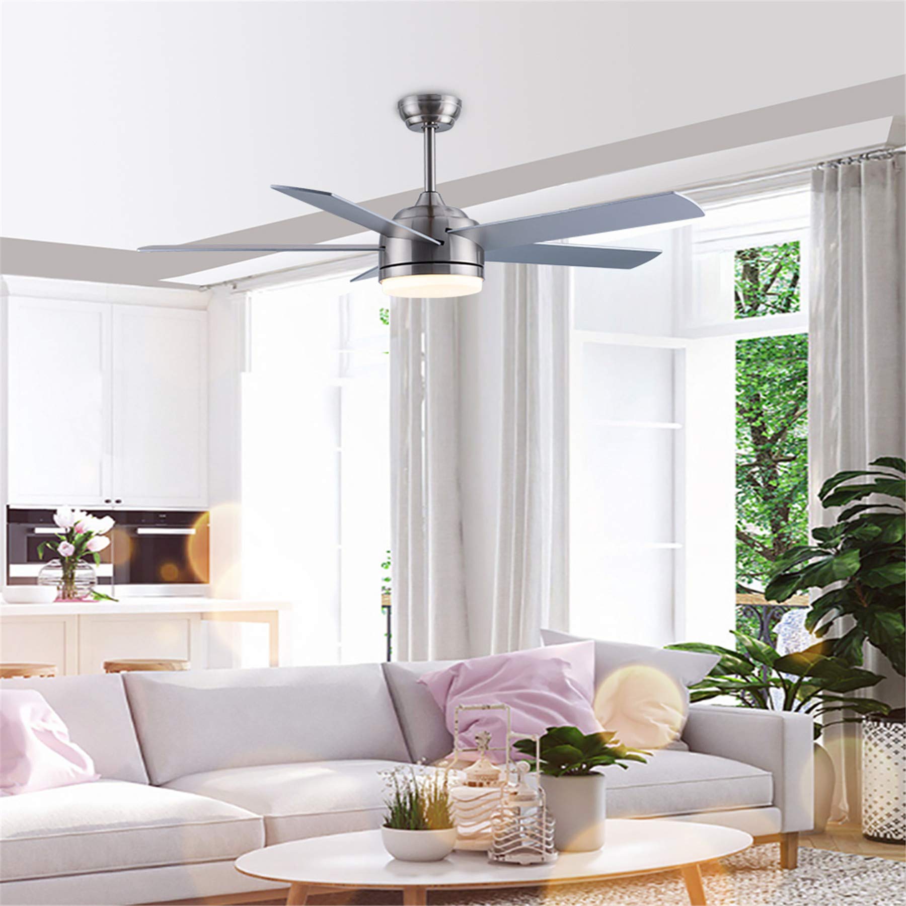 CJOY Ceiling Lamp with Fan, Ceiling Fan with Light and Remote Control ...