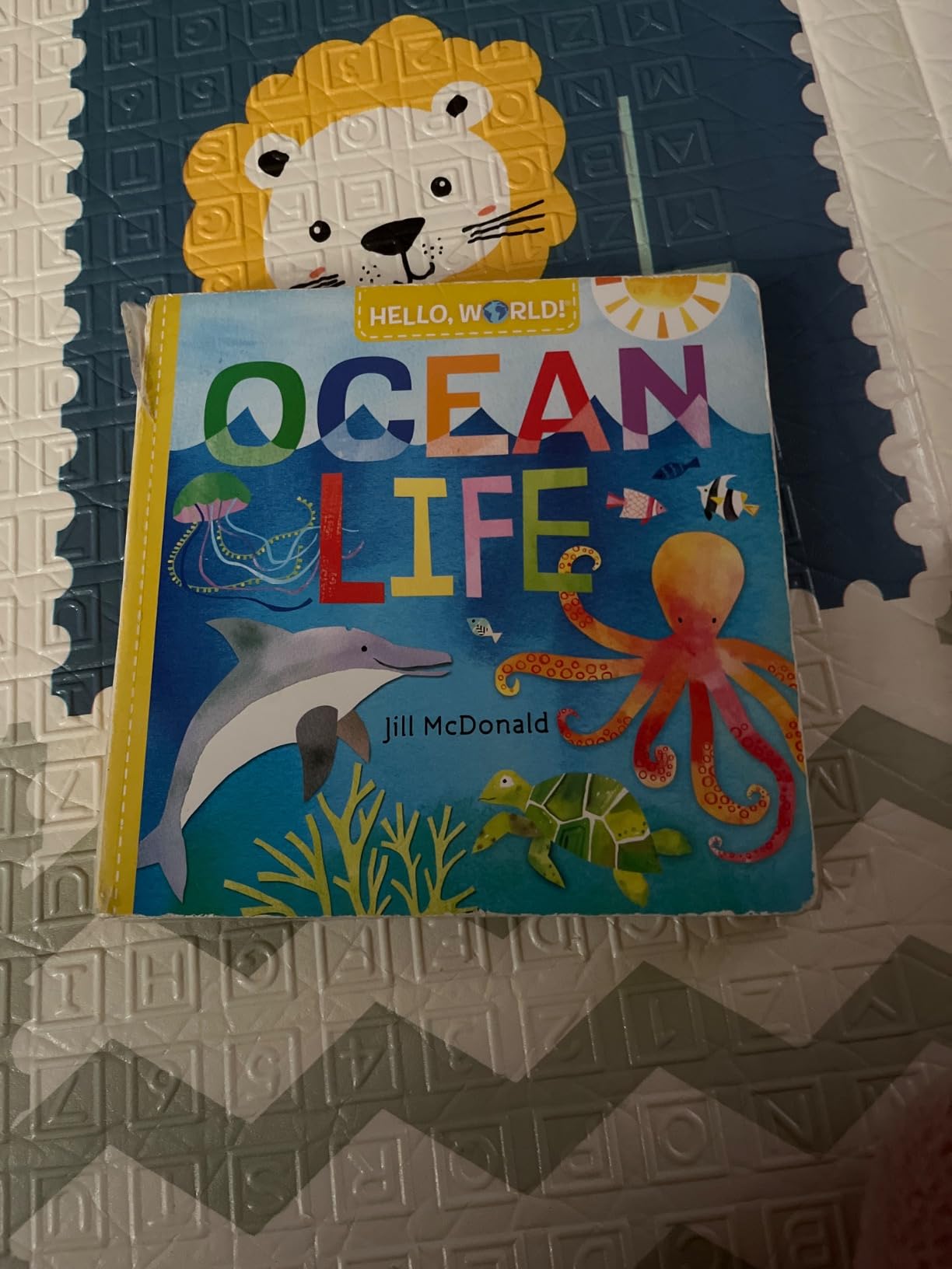 Amazon | HELLO, WORLD! OCEAN LIFE | MCDONALD, JILL | Water