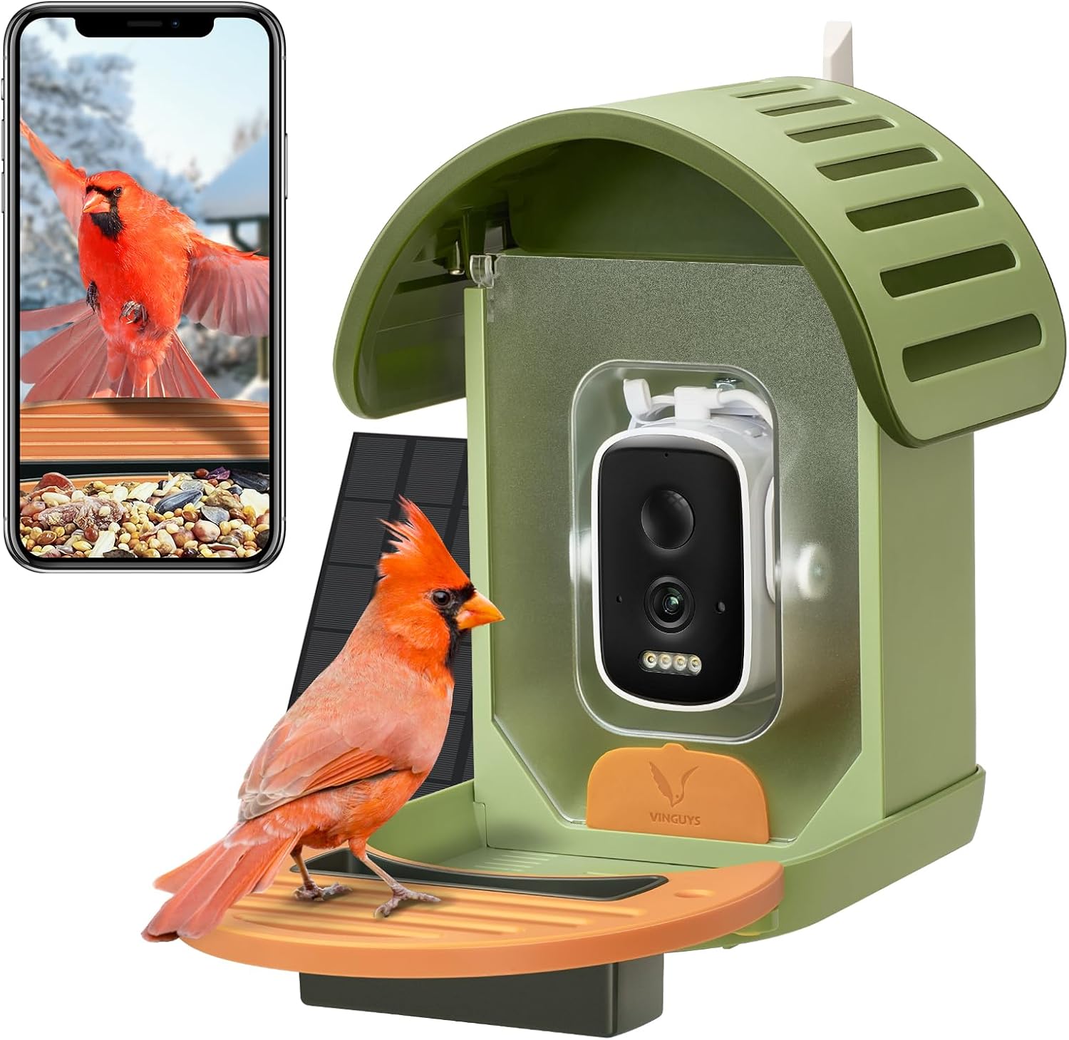 VINGUYS Bird Feeder with Camera, Powerful AI Bird Identification, 2.5K Bird Feeder Camera ...