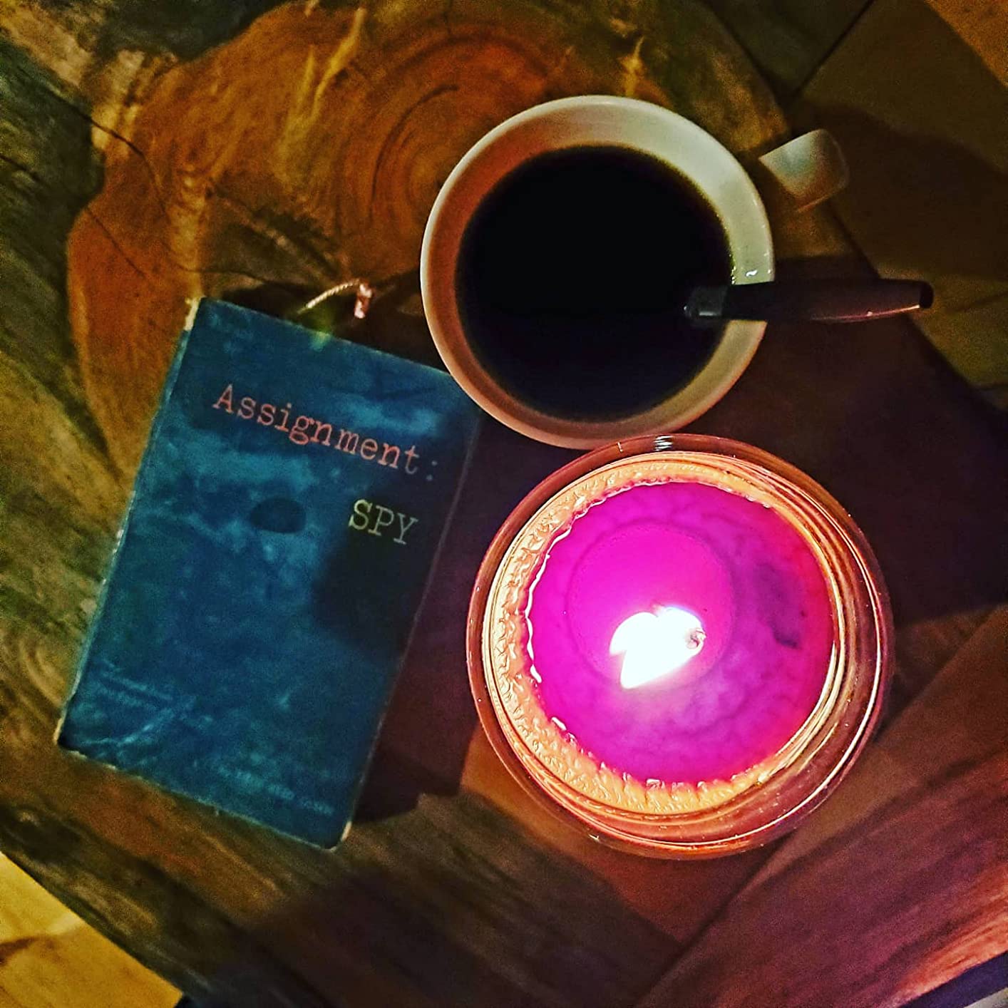 Assignment: Spy: Olsen, Oluf Reed: Amazon.com: Books