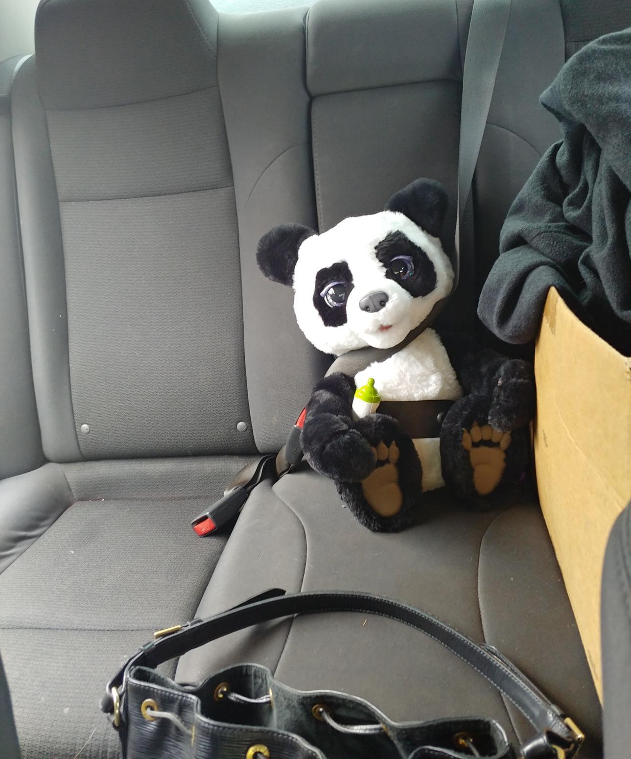 Amazon.com: FurReal Plum, The Curious Panda Bear Cub Interactive Plush ...