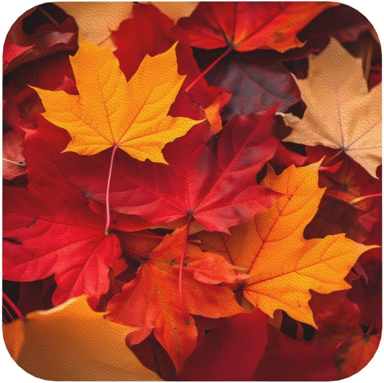 Amazon.com | Autumn Fall Leaves Coasters for Drinks Leather Coasters ...