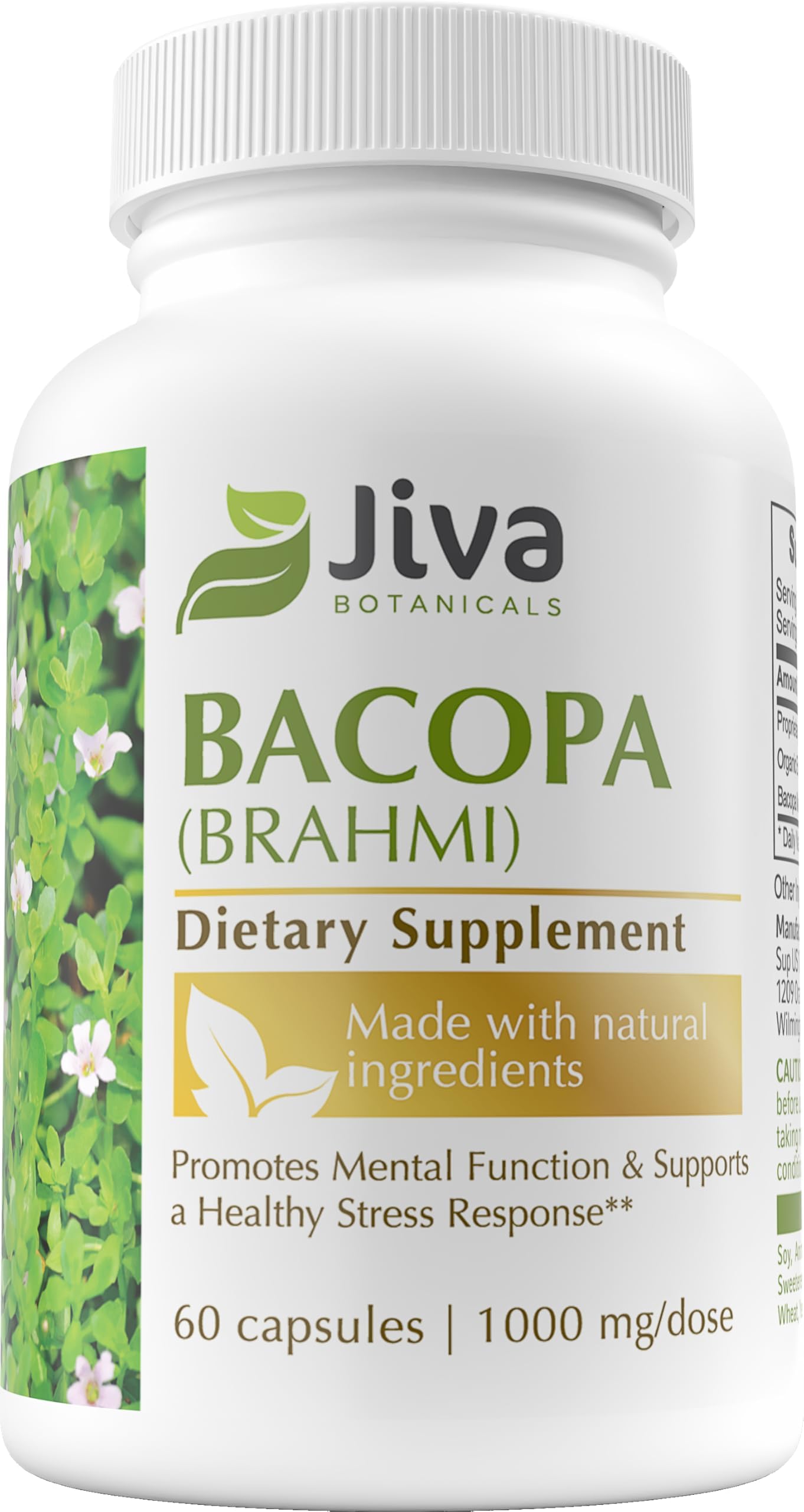 Amazon.com: Jiva Botanicals Bacopa Monnieri/Brahmi Capsules -Organic ...