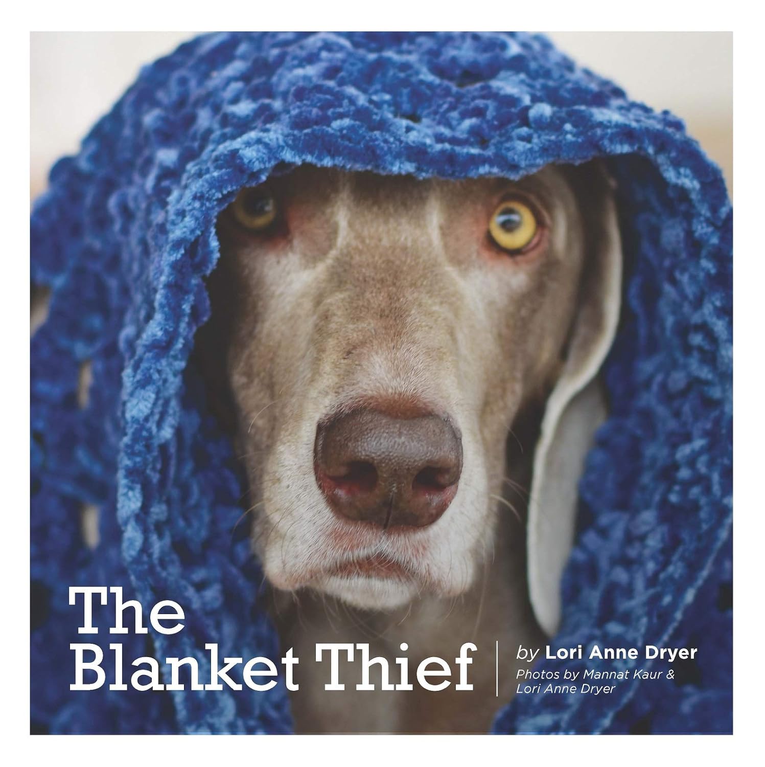 The Blanket Thief: Dryer, Lori Anne, Kaur, Mannat: 9781949480047 ...