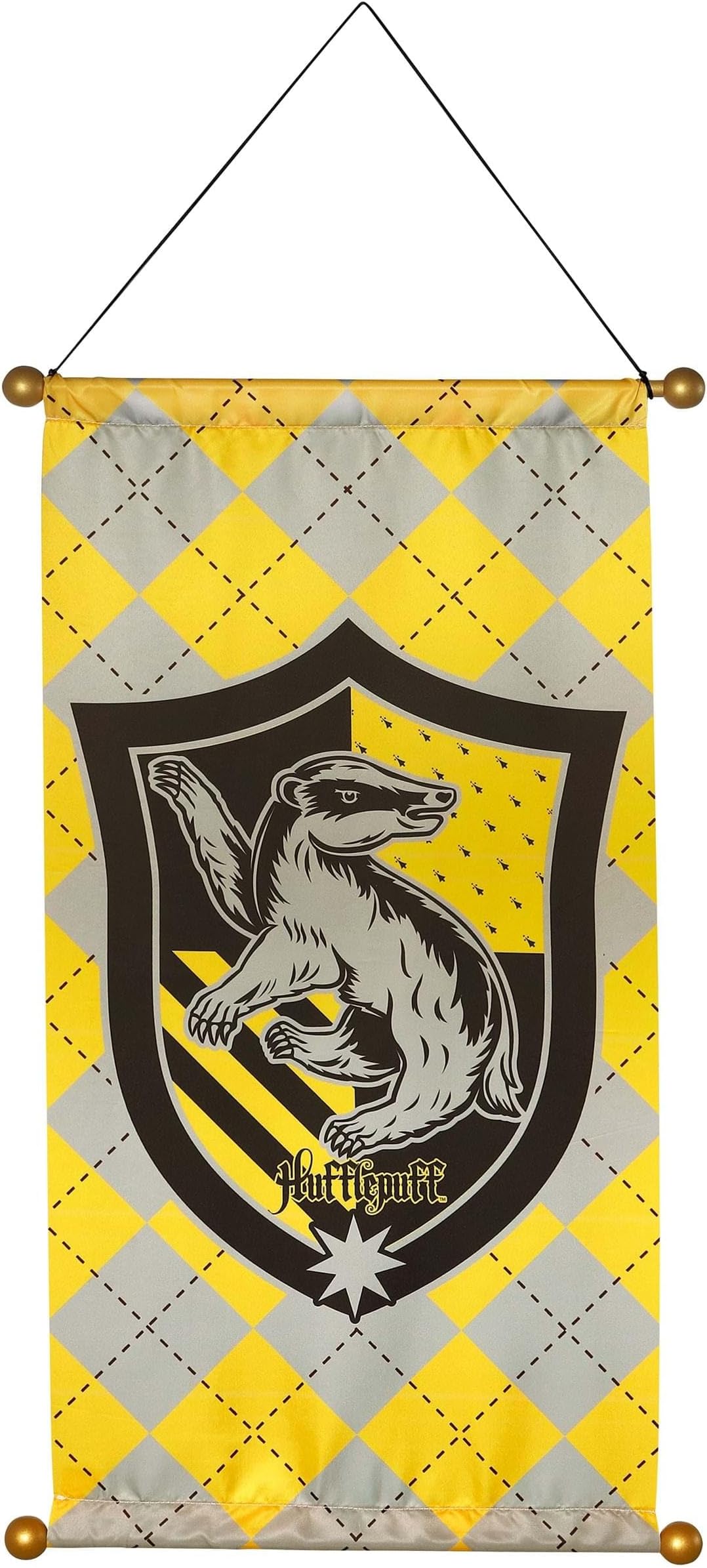 Amazon.com: Harry Potter Hogwarts House Wall Banner (30" by 50 ...