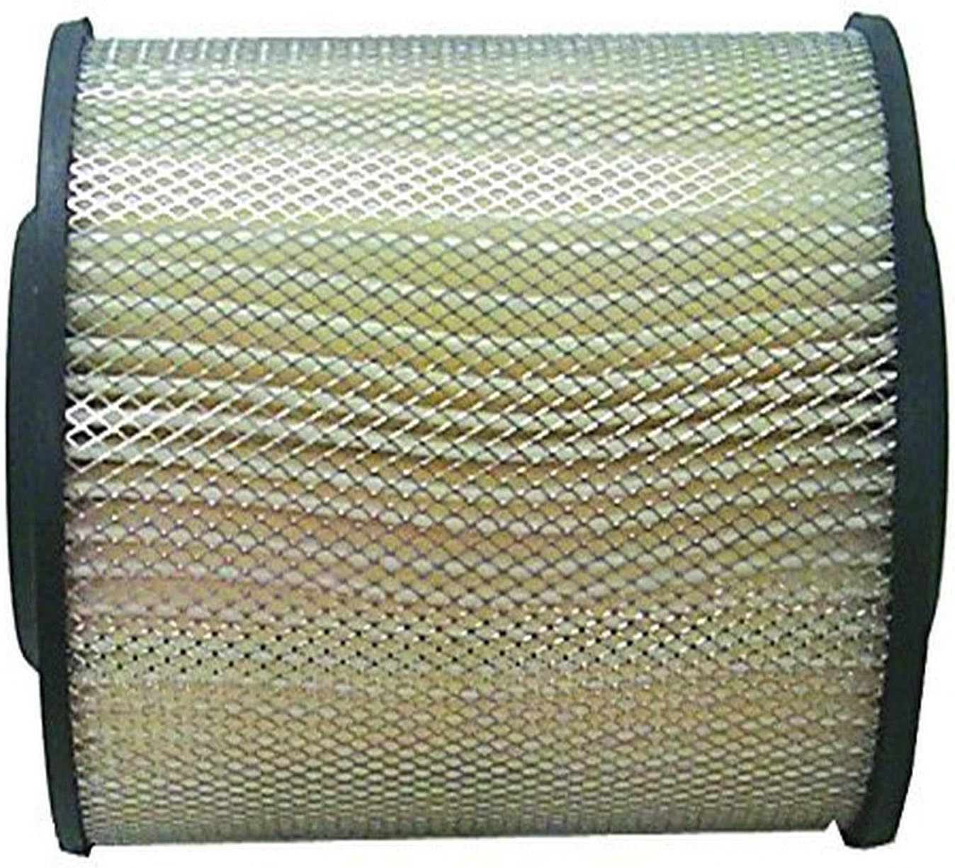Amazon.com : Ryobi 900777005 Air Filter : Patio, Lawn & Garden
