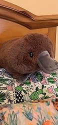 Amazon.com: Aurora® Adorable Spudsters™ Pongo Platypus Stuffed Animal ...