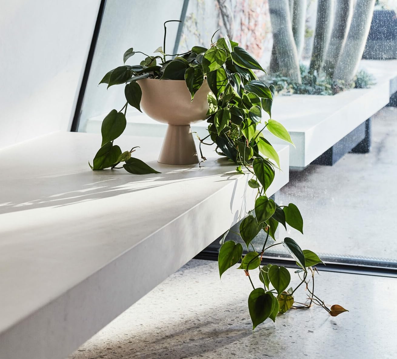 RICHIES ENTERPRISES - Majestic Royal Planter Outdoor & Indoor ...