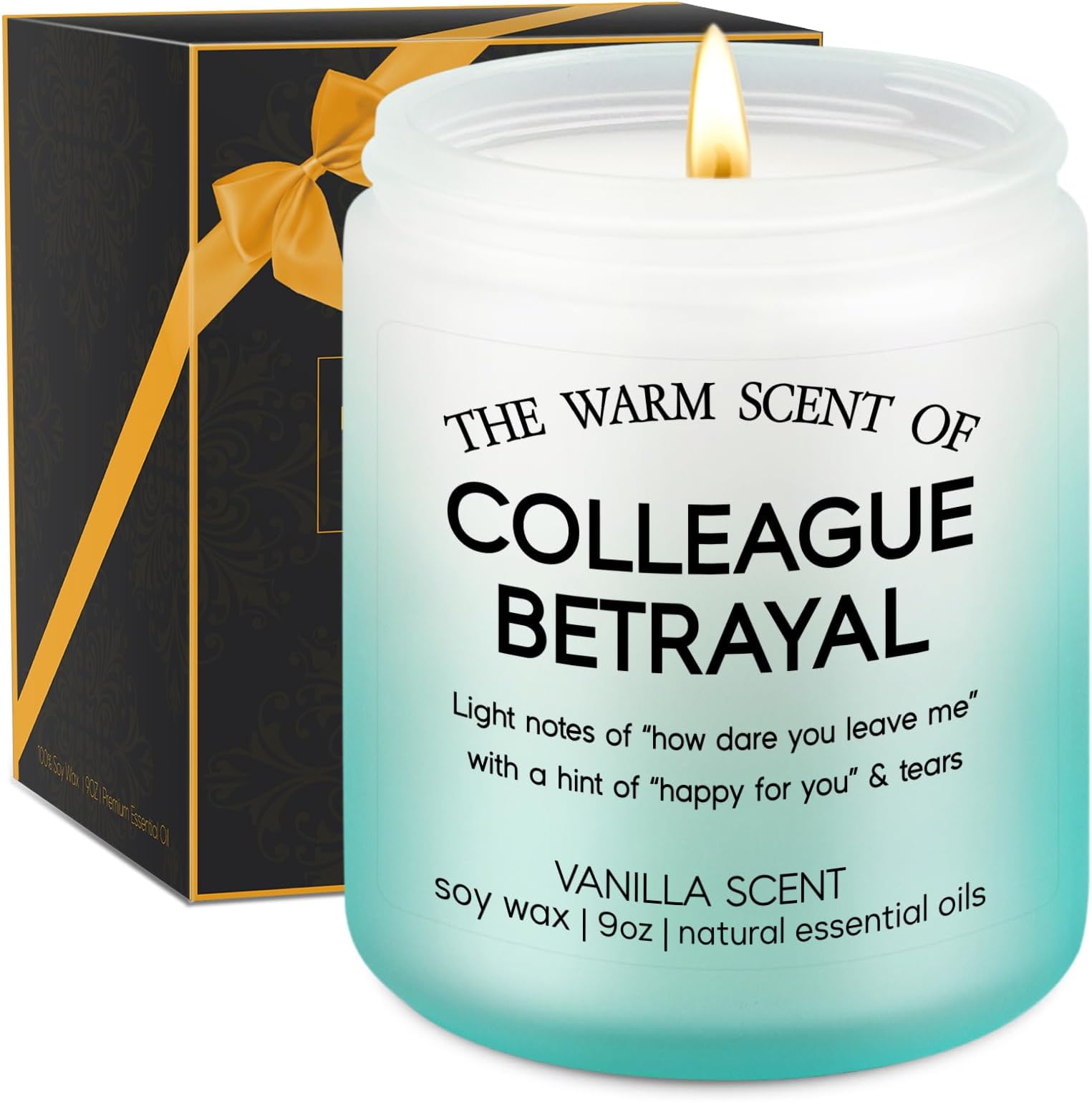 Amazon.com: GSPY Scented Candles, Goodbye Gifts for Coworkers, Boss ...