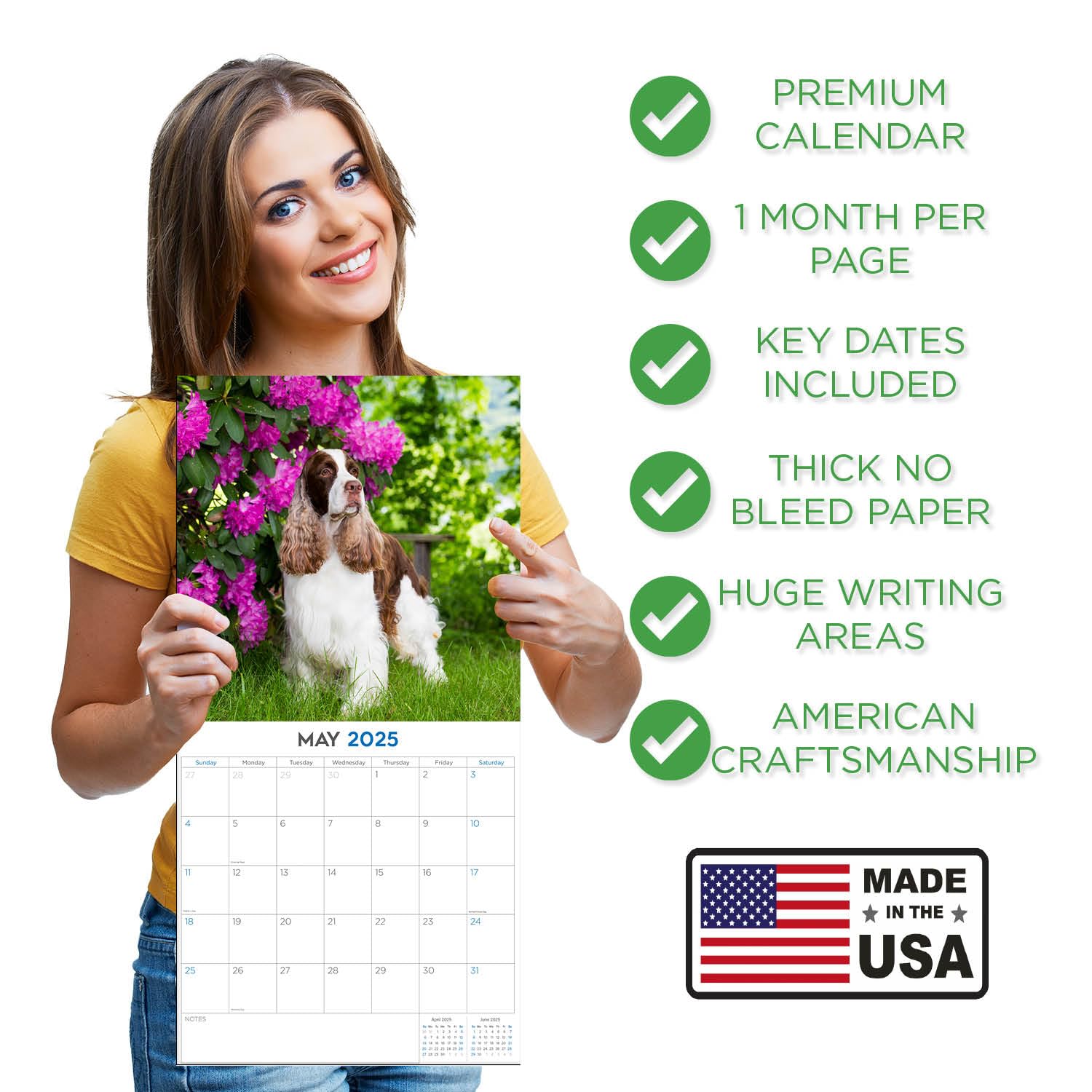 Snapklik.com : 2025 English Springer Spaniel Euro Calendar - Dog Breed ...