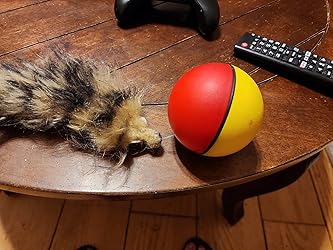 Amazon.com: D.Y. TOY Weazel Ball Playful Weasel : Toys & Games